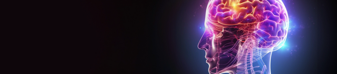 Unleashing Limitless potentials through Neuroscience – Limitless Brain Lab